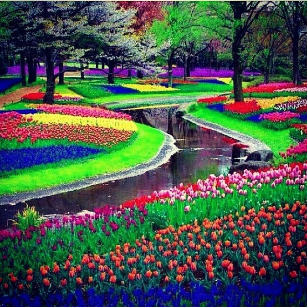 Para Onde Ir na Primavera?